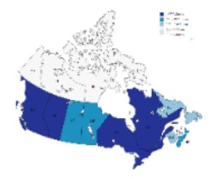 Our Services - Jacent